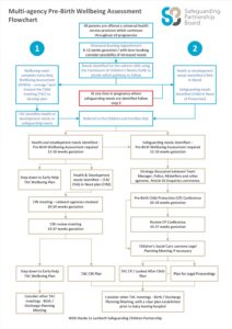 Multi-agency Pre-Birth Wellbeing Assessment Flowchart | Safeguarding ...